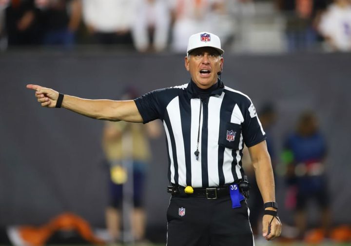 NFL Week 14 Referee Report: Betting Stats and Trends - Sports Gambling ...
